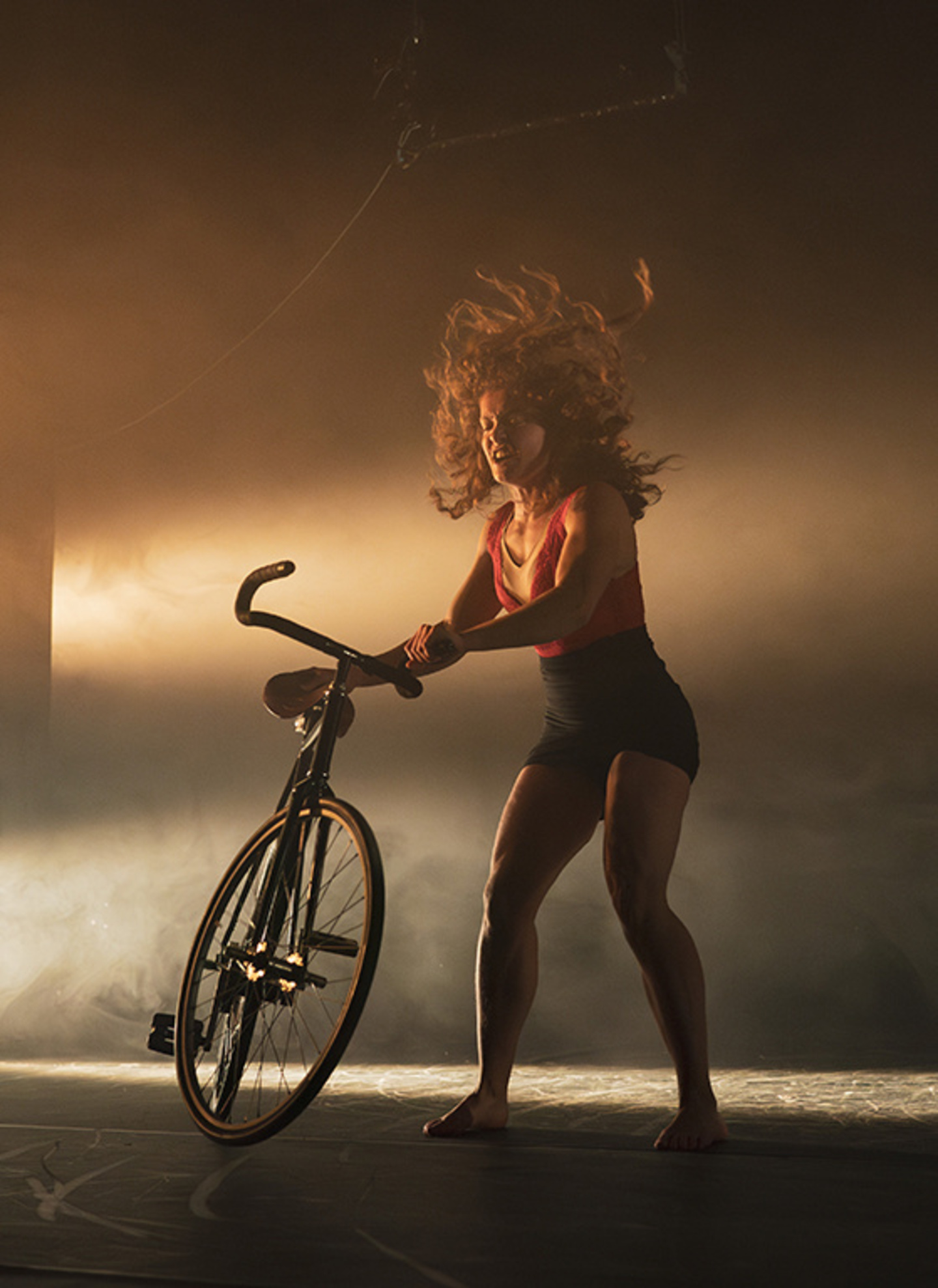 Tandem . spectacles . peau d'âne - la fête est finie